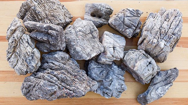 Đá da voi thuỷ sinh trang trí hồ cá. - Shop Thủy Sinh Xanh