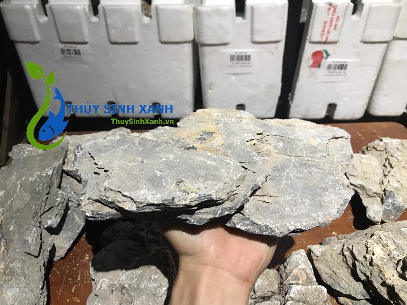 Đá vỉa thuỷ sinh tại tp. Hồ Chí minh - Shop Thủy Sinh Xanh